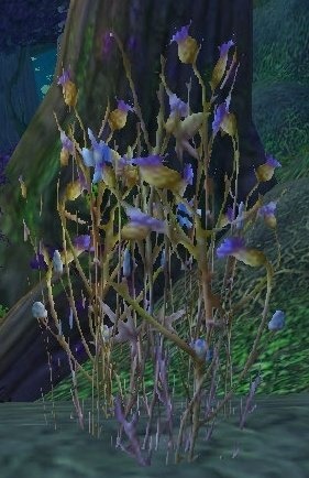 Bruiseweed - Item - TBC Classic