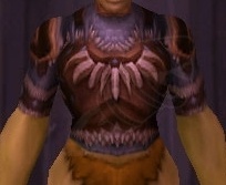 Titan-Forged Chain Armor of Triumph - Item - World of Warcraft