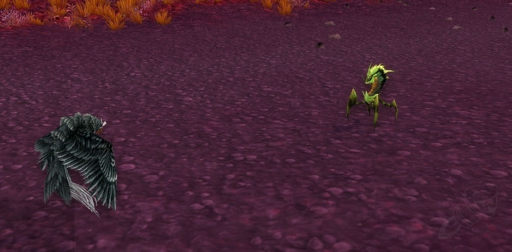 Ravager Hatchling - NPC - World of Warcraft