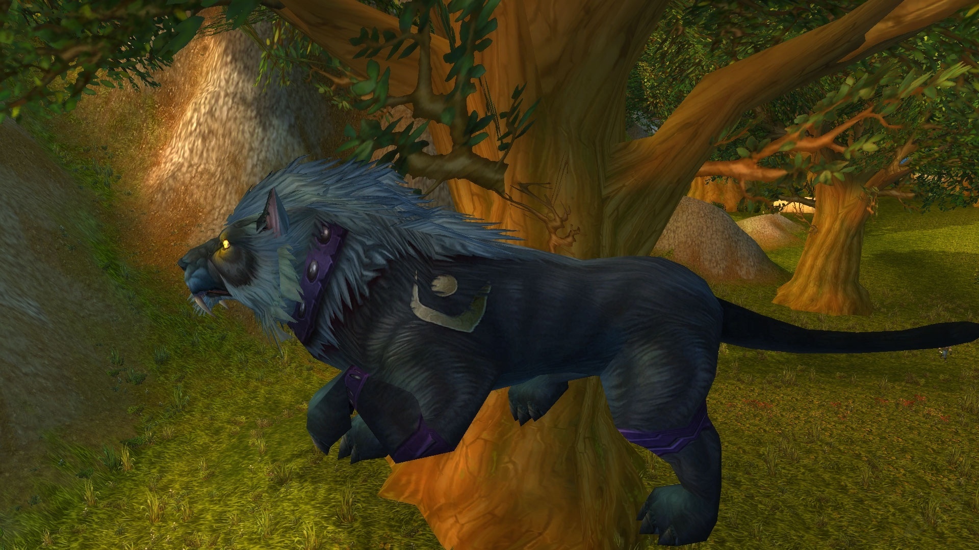 표범 변신 - 주문 - 대격변 클래식