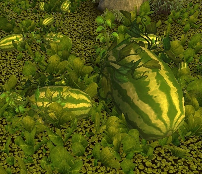 Striped Melon - Item - 12.0.0 Beta