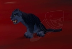 Panther Cub - Item - Cataclysm Classic