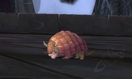 Cachorro de armadillo - Objeto - [Cataclysm Classic]