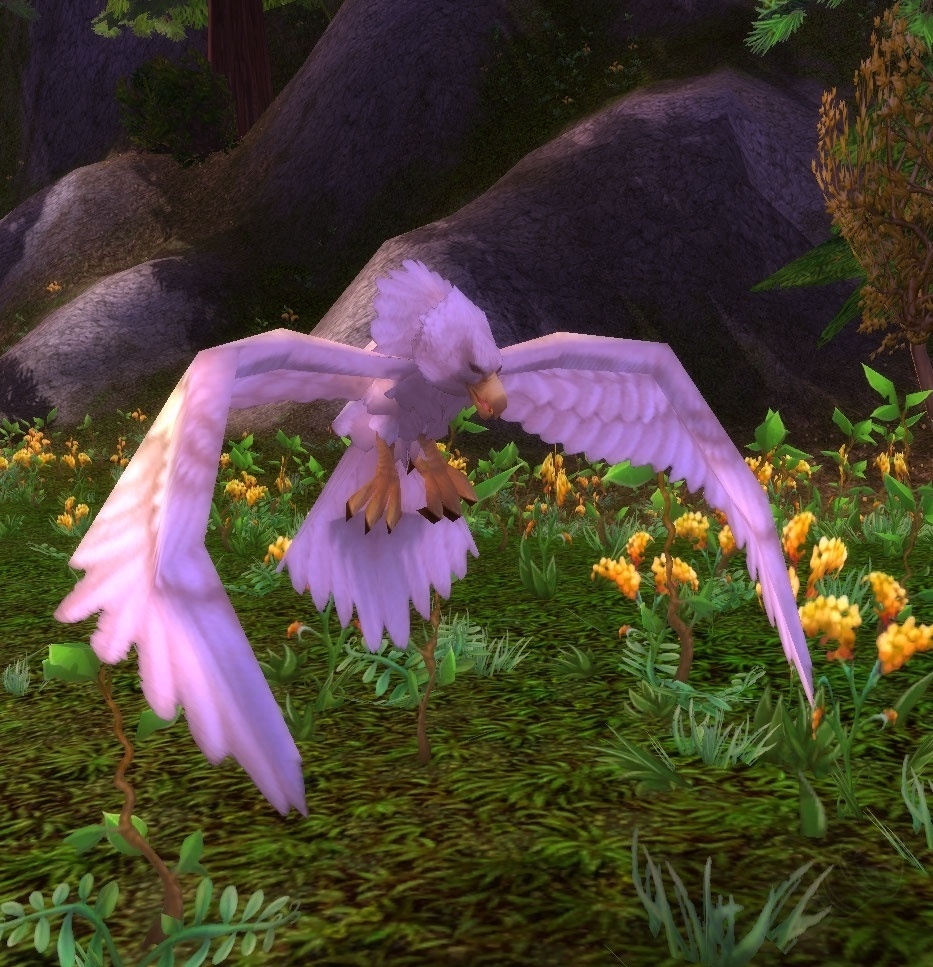 Ave rapaz - Mascota de Cazador - [Cataclysm Classic]