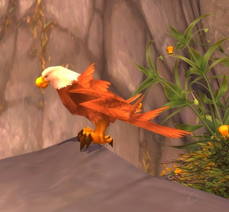 Silkfeather Hawk - NPC - World of Warcraft