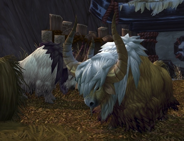 Mountain Yak - NPC - World of Warcraft
