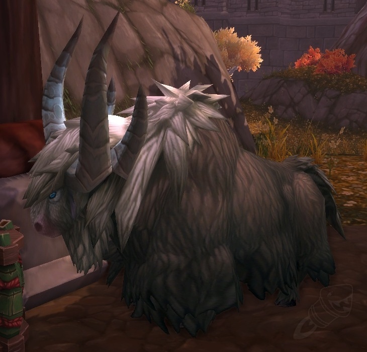Wooly Yak - NPC - World of Warcraft