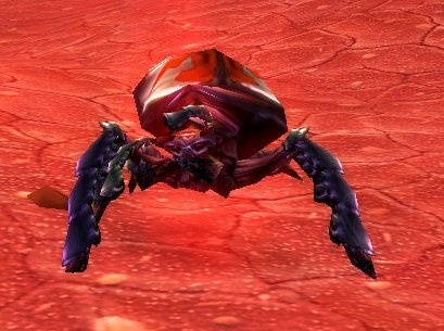 Cursed Scarab - NPC - World of Warcraft