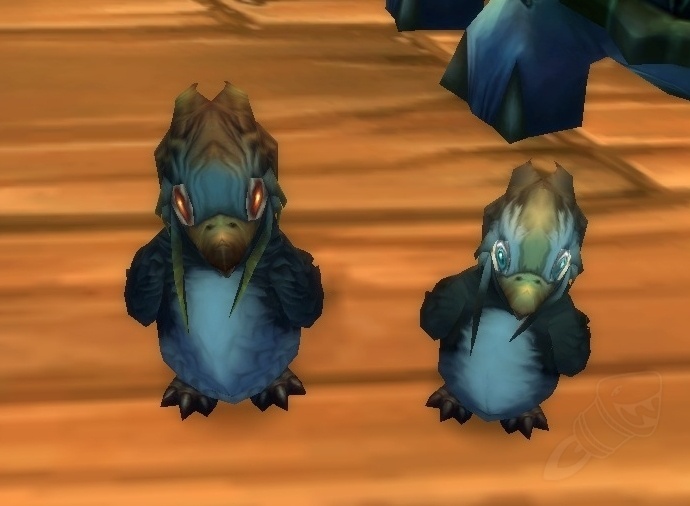 Ovo de Pinguim Cuidado - Item - Cataclysm clássico