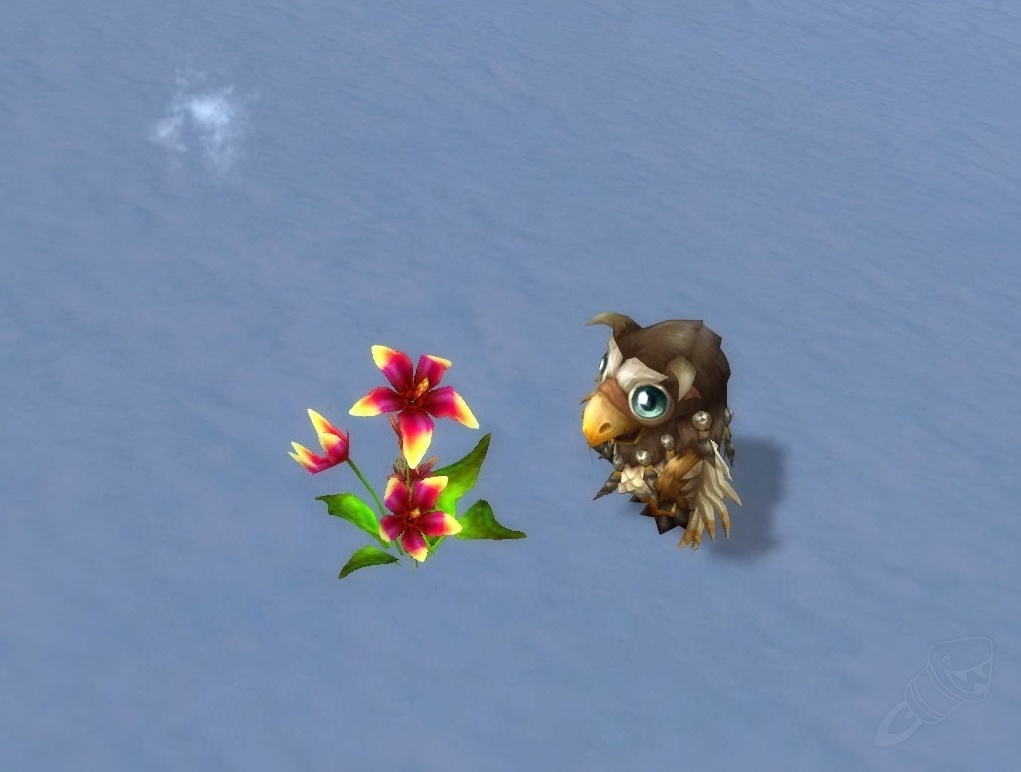 Moonkin Hatchling - Item - Cataclysm Classic