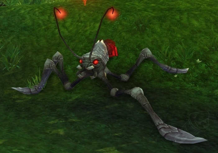 Titilo - PNJ - World of Warcraft