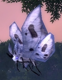 Mariposa Luyu - PNJ - Mists of Pandaria clássico