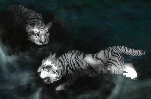 Sha-Haunted Tiger Cub - NPC - World of Warcraft