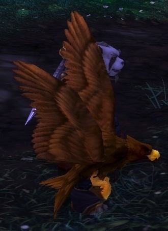 Shado-Pan Hawk - NPC - World of Warcraft