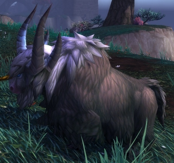 Mean, Angry Townlong Yak - NPC - World of Warcraft