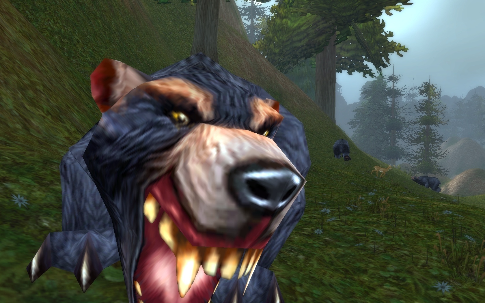 Shaggy Black Bear - NPC - Mists of Pandaria Classic