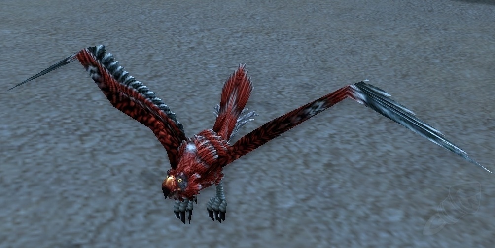 Savage Parrot - NPC - World of Warcraft