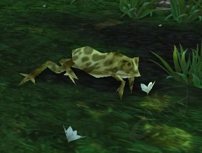 Garden Frog - NPC - World of Warcraft