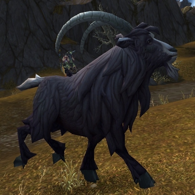 Saca de Grãos de Kafa - Item - World of Warcraft