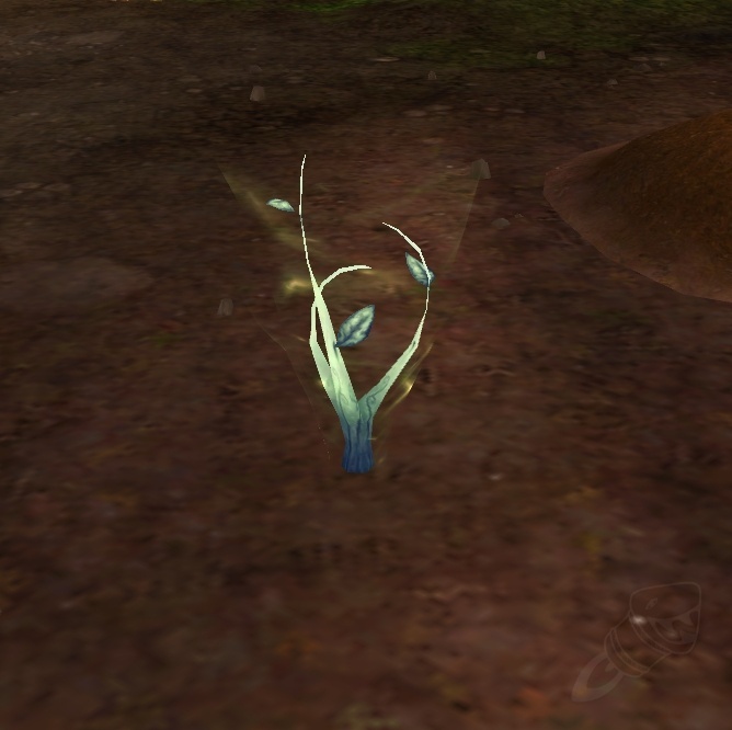 Talega de semillas enigma - Objeto - [Mists of Pandaria Classic]