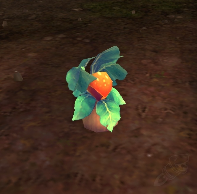 Special Seed Pack - Item - World of Warcraft