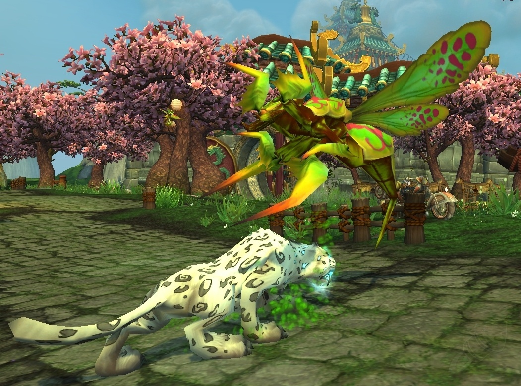 Orchard Wasp - NPC - Mists of Pandaria Classic