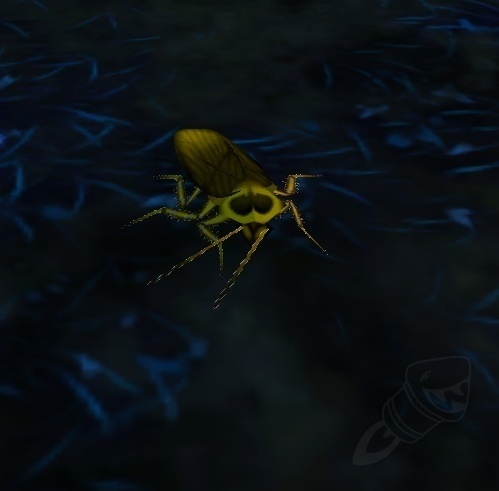 Resilient Roach - NPC - Mists of Pandaria Classic