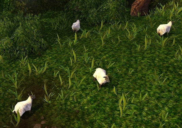 Chee Chee - Faction - Mists of Pandaria Classic