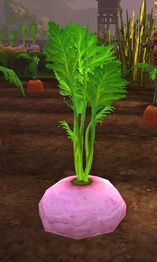 Naba rosa creciente - PNJ - World of Warcraft