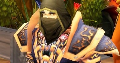 Stormshroud Shoulders - Item - Classic World of Warcraft