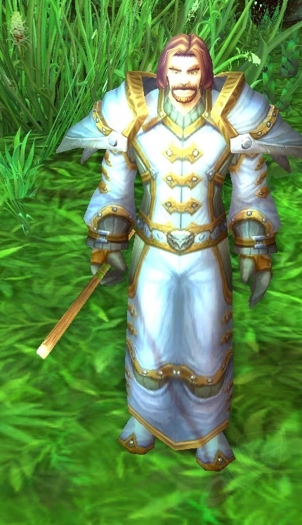 Alliance Priest - NPC - World of Warcraft