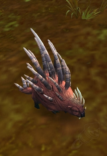 Nager - Begleiter - World of Warcraft