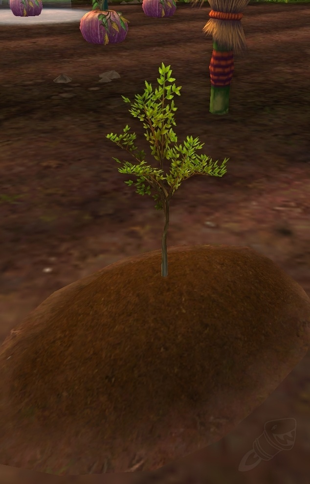 Spring Blossom Sapling - NPC - World of Warcraft