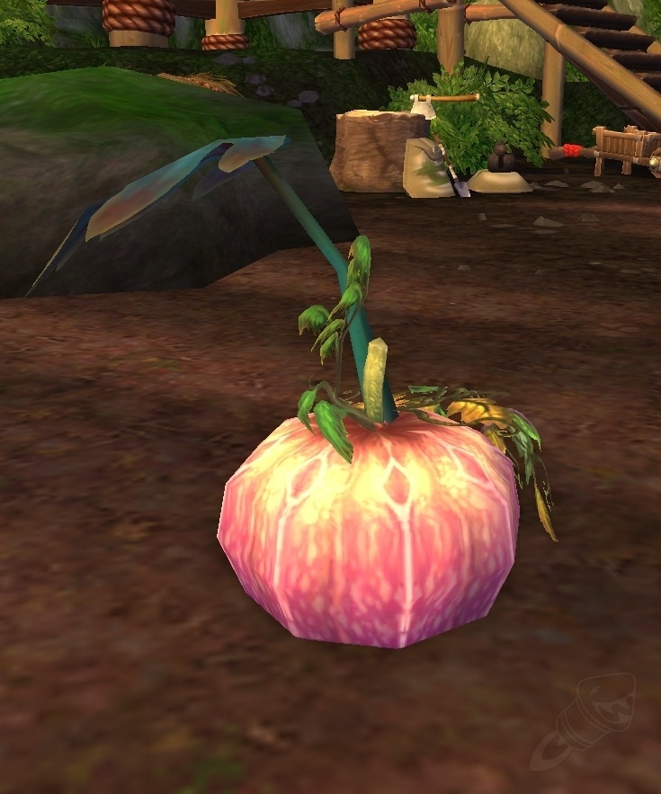 Smothered Mogu Pumpkin - NPC - World of Warcraft