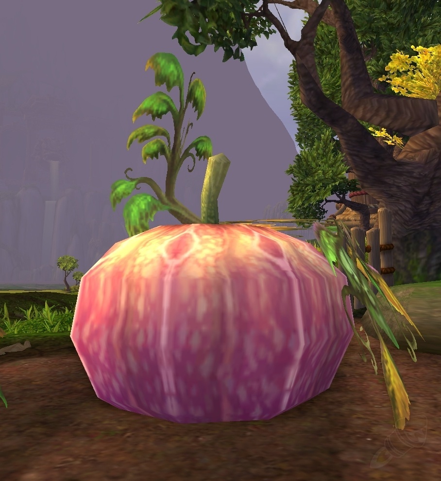 Plump Mogu Pumpkin - NPC - World of Warcraft