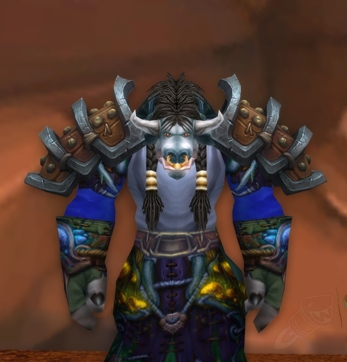 Kafa Hide Spaulders - Item - World of Warcraft