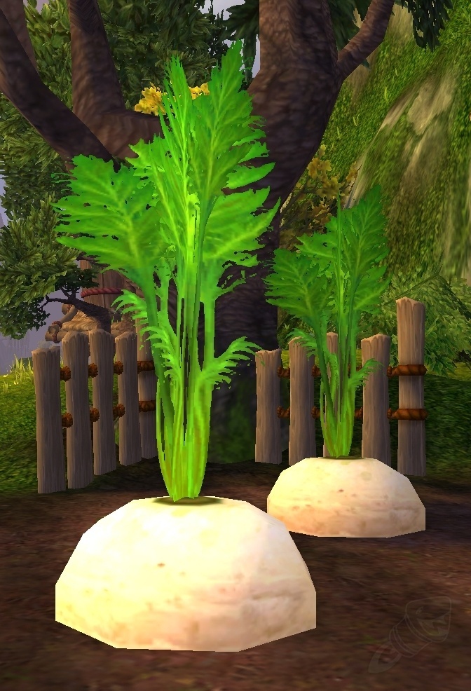 Naba blanca madura - PNJ - [Mists of Pandaria Classic]