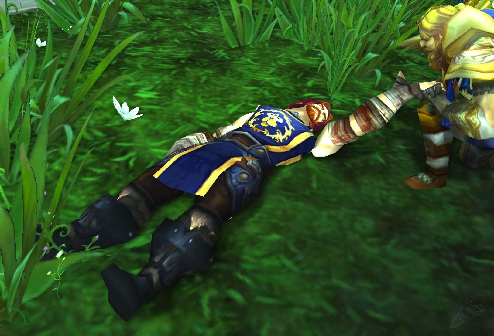 Skyfire Marine - NPC - World of Warcraft