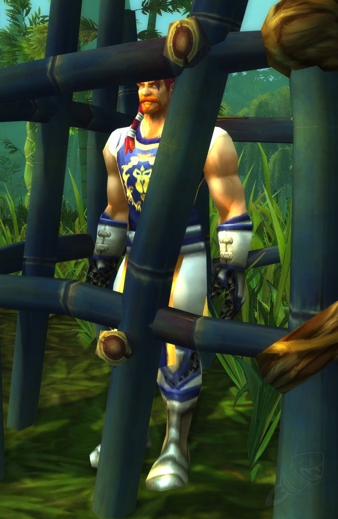 Alliance Prisoner - NPC - World of Warcraft