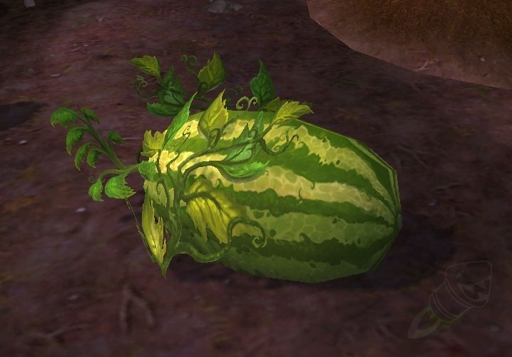 Growing Striped Melon - NPC - Mists of Pandaria Classic