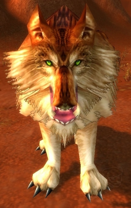 Barnabus - NPC - Mists of Pandaria Classic