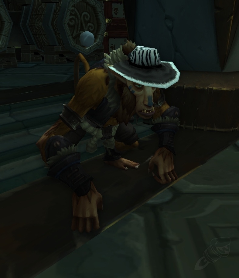 Trainer Rok Rok - NPC - World of Warcraft