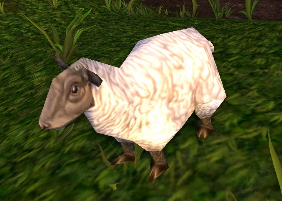 Farm Sheep - NPC - Mists of Pandaria Classic