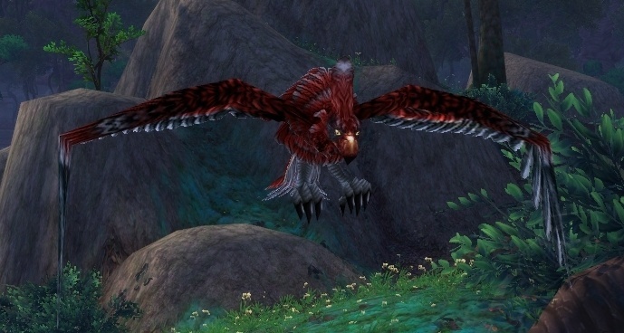 Crimson Lory - NPC - Mists of Pandaria Classic