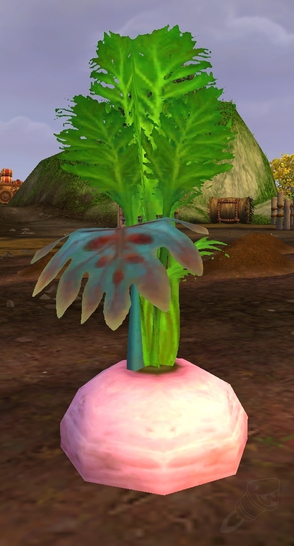 Smothered Pink Turnip - NPC - Mists of Pandaria Classic
