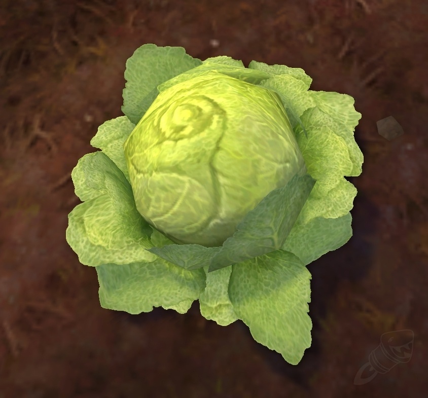 [Growing Green Cabbage] - NPC - Mists of Pandaria Classic