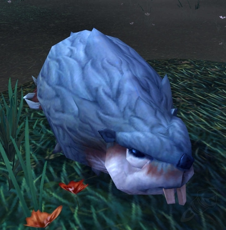 Swamp Rodent - NPC - Mists of Pandaria Classic