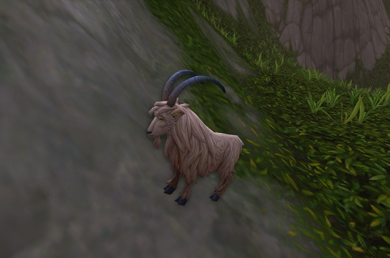 Wild Mountain Kid - NPC - Mists of Pandaria Classic