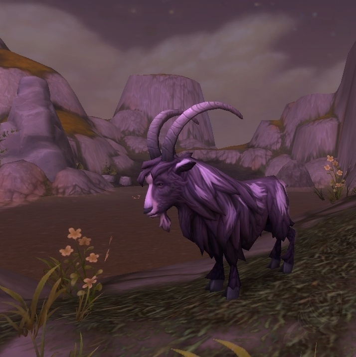 Bode de Bengala Preto - PNJ - World of Warcraft