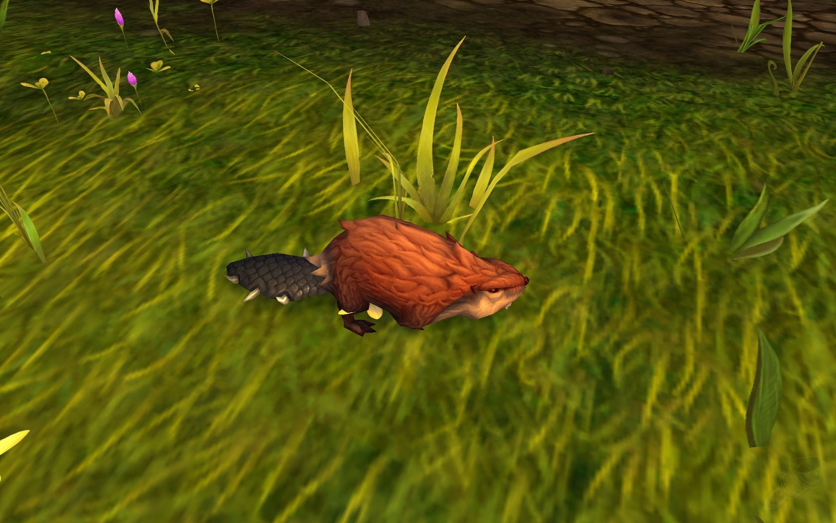 [Bucktooth Flapper] - PNJ - [Mists of Pandaria Classic]